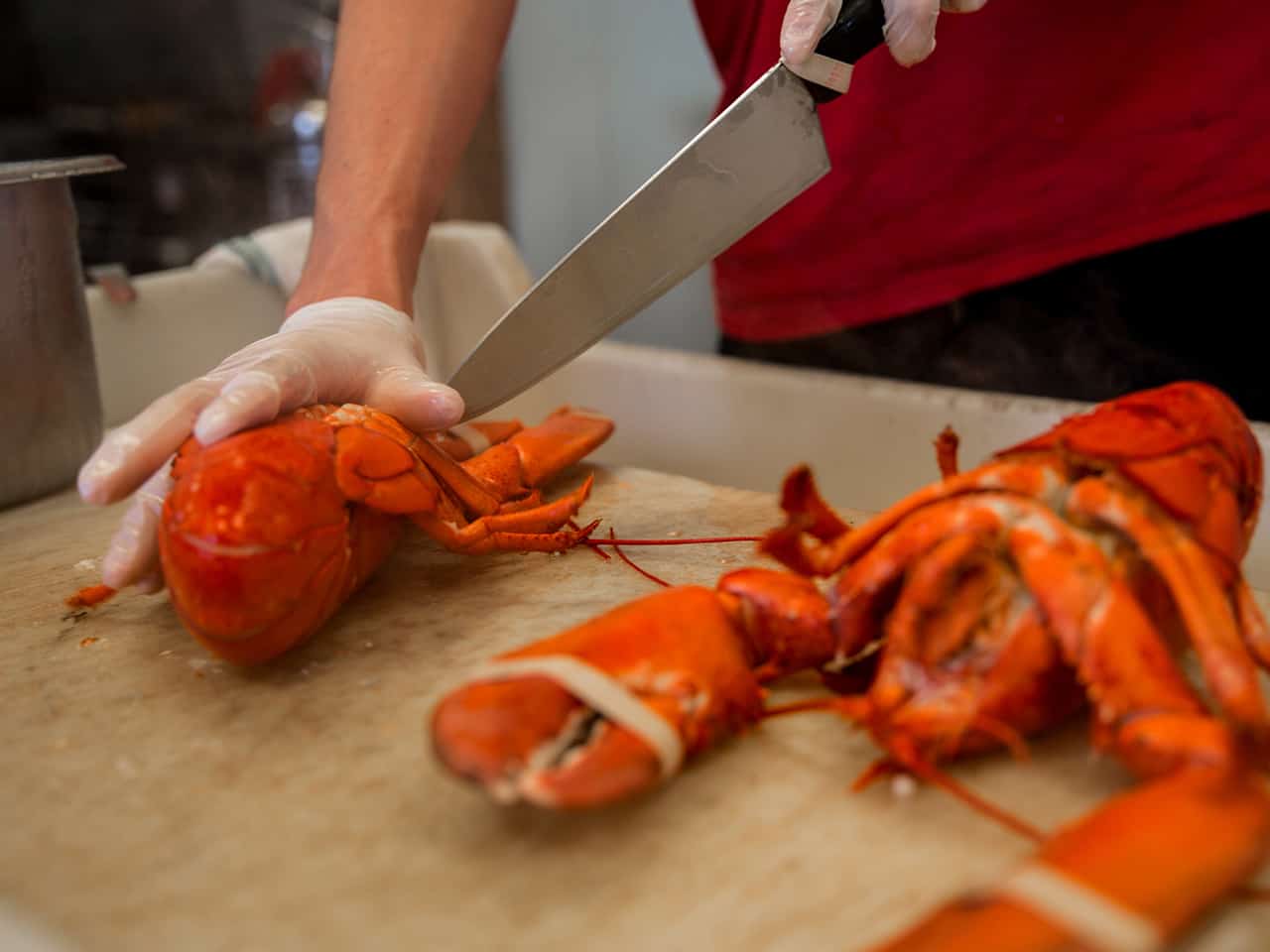 How to Breakdown a Maine Lobster | Maine Seafood